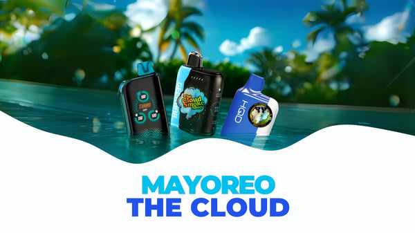 Mayoreo-2